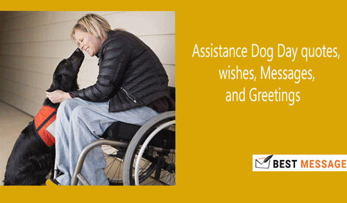 Assistance Dog Day quotes, wishes, Messages, and Greetings | Bd-career.org